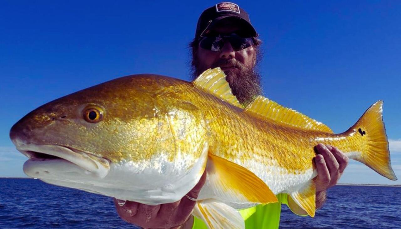 🐟 Alabama Fishing Report Today 🎣 | January 2026