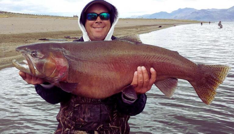 🐟 Pyramid Lake Fishing Report Today 🎣 | June 2026
