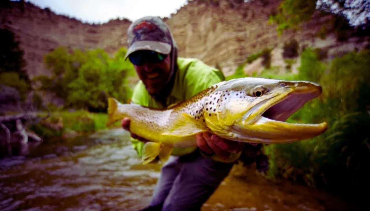 🐟 Utah Fishing Report Today 🎣 | December 2025