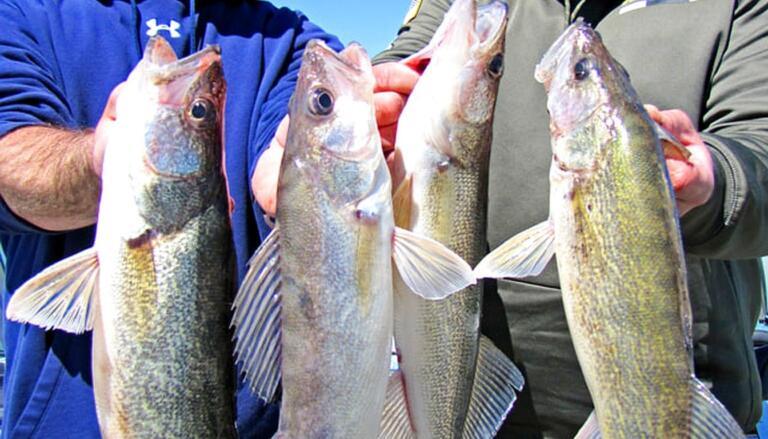 🐟 Aurora Reservoir Fishing Report Today 🎣 | June 2026