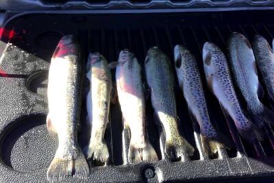 Fishing Reports Today | Best Fishing Spots Near Me