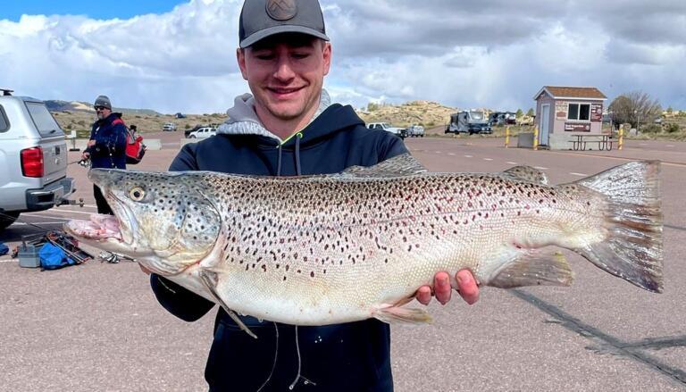 🐟 Eleven Mile Reservoir Fishing Report Today 🎣 | June 2026