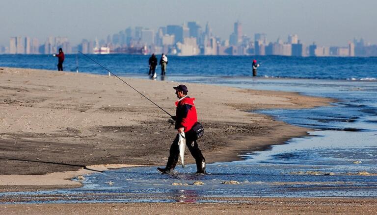 🐟 Sandy Hook Bay, New Jersey Fishing Report Today 🎣 | June 2026