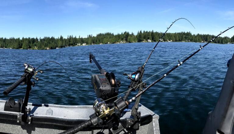 🐟 Lake Stevens Fishing Report Today 🎣 | June 2026