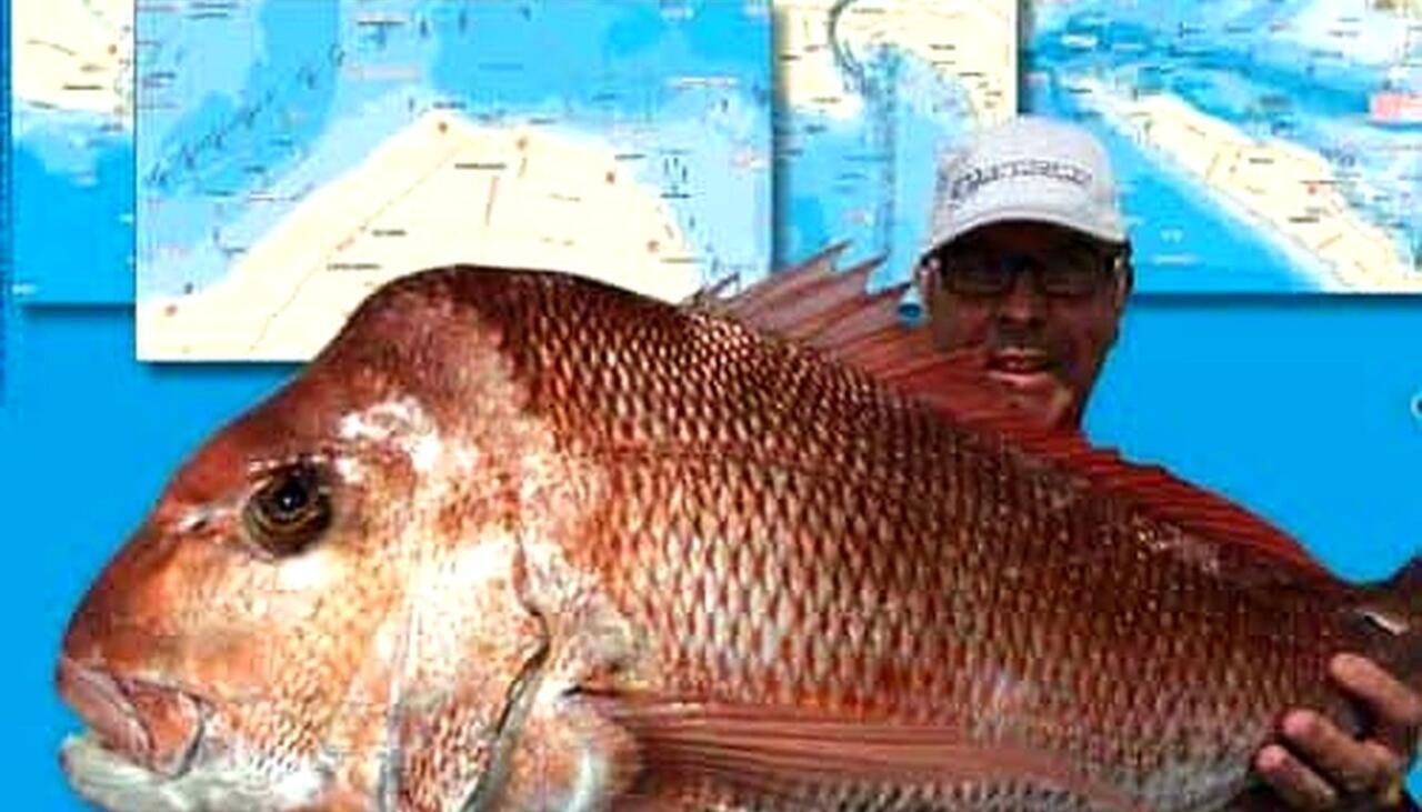 🐟 Port Phillip Fishing Report Today 🎣 | December 2025