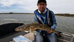 How To Catch Flathead: Complete Guide To Techniques, Gear, And ...