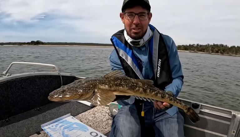 How To Catch Flathead: Complete Guide To Techniques, Gear, And ...