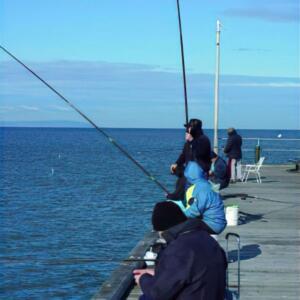 How To Catch Garfish: Complete Guide To Techniques, Gear, And Locations ...