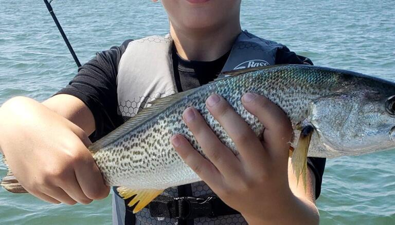 🐟 Cape May Fishing Report Today 🎣 | May 2026