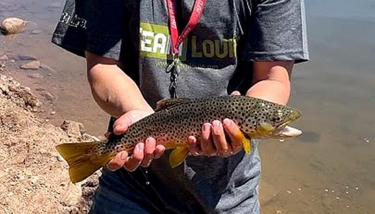 🐟 Dowdy Lake Fishing Report Today 🎣 | June 2026
