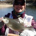 How To Catch White Bass: Complete Guide To Techniques, Gear, And ...