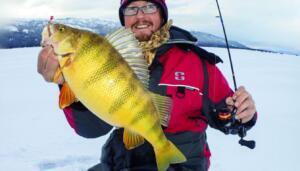 How To Catch Yellow Perch: Complete Guide To Techniques, Gear, And ...